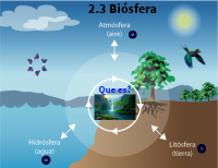 2.3 Biósfera | Genially