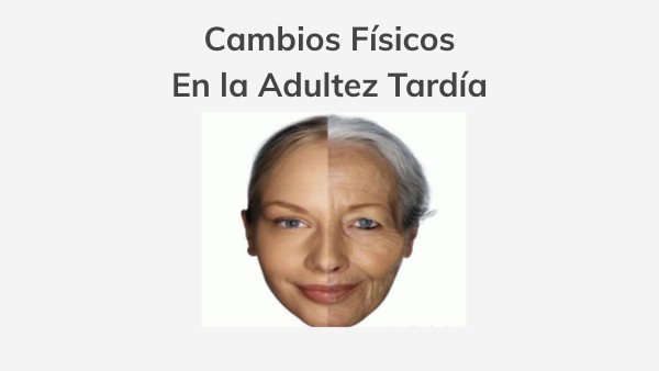 Clase 14 Desarrollo físico en la adultez tardía segunda parte | Genially