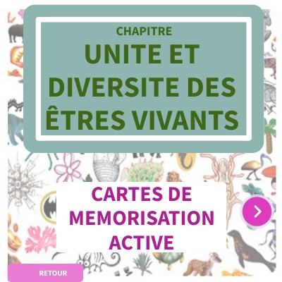 MEMO CARDS UNITE ET DIVERSITE DES ETRES VIVANTS | Genially