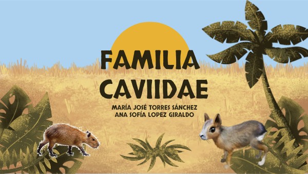 PRESENTACIÓN CAVIIDAE | Genially