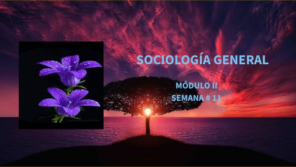 PRESENTACIÓN SEMANA 11 | Genially