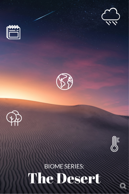 Desert Biome