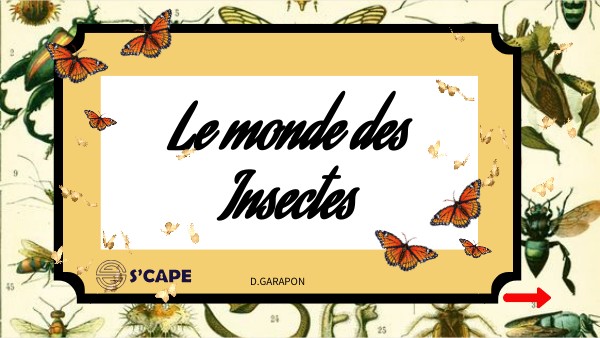 Final - le monde des Insectes