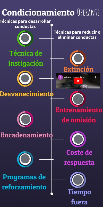 Skinner Condicionamiento operante | Genially