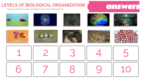 LEVELS OF BIOLOGICAL ORGANIZATION | Genially