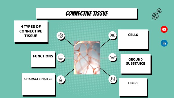 CONNECTIVE TISSUE | Genially