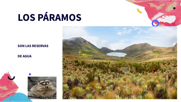 LOS PARÁMOS ANDINOS | Genially