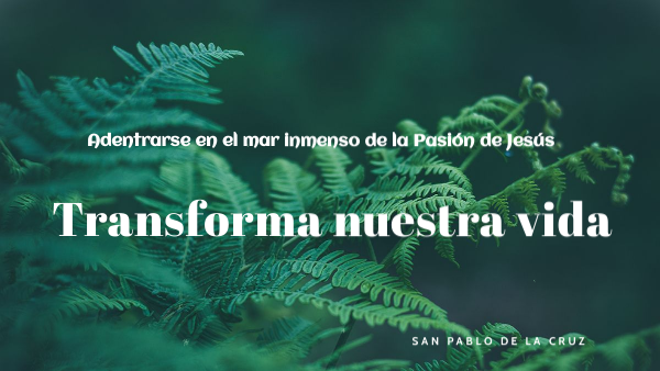 ADENTRARSE EN EL MAR INMENSO DE LA PASIÓN TRANSFORMA NUESTRA VIDA