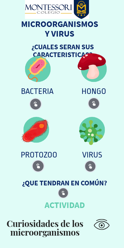 MICROORGANISMO Y VIRUS | Genially