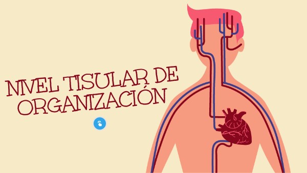 Nivel tisular de organización 2 clase | Genially