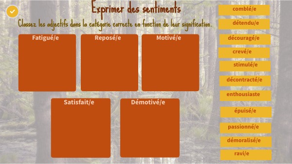 N5 - un peu de lexique pour parler des sentiments