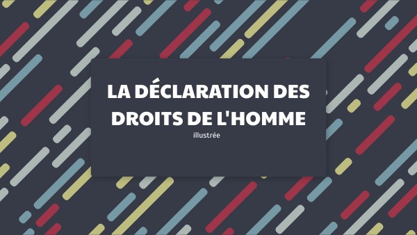 N7 - la déclaration des droits de l'homme illustrée | Genially