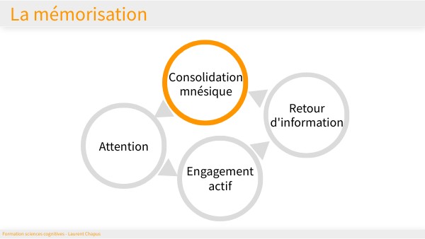 Sciences Cognitives | Genially