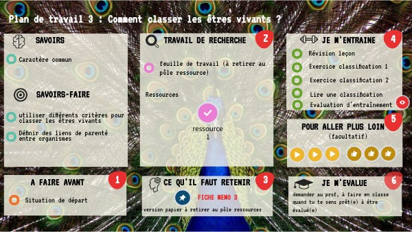 6 - PdT3 : classer les êtres vivants | Genially