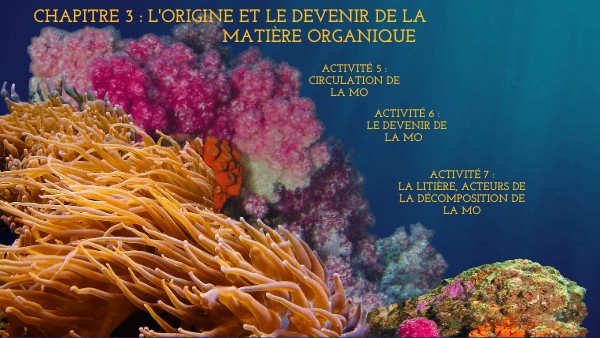 Origine et devenir de la matière organique