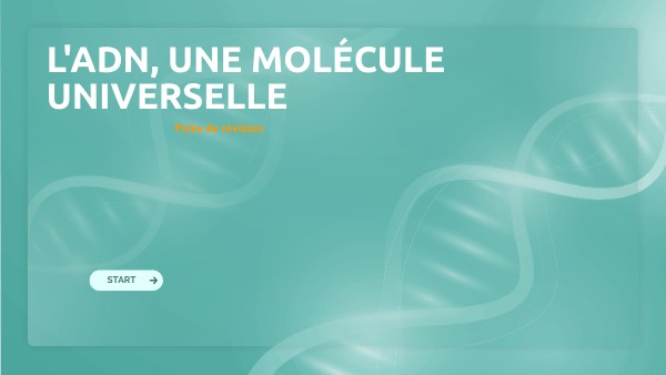 Révision C4 ADN | Genially