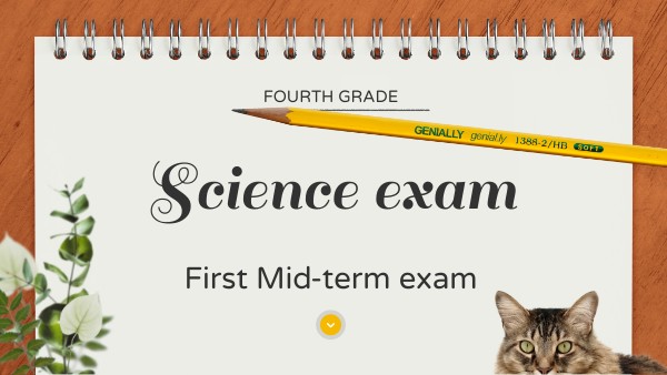 4th. MIDTERM EXAM | Genially