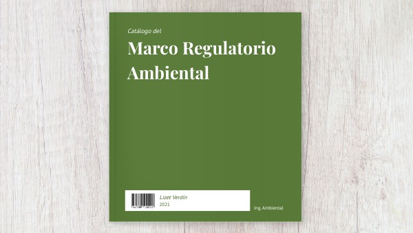 Marco Regulatorio Ambiental - Lizet Verdín