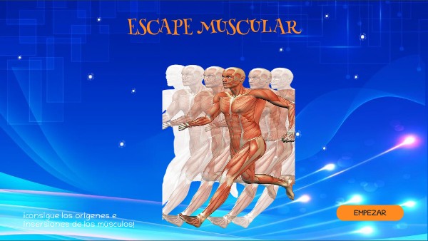 ESCAPE muscular