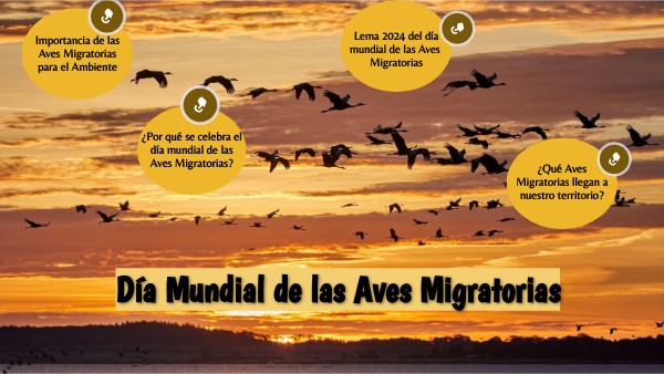 Día Mundial de las Aves Migratorias | Genially