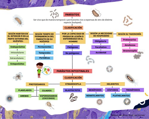 clasificación de los parásitos | Genially