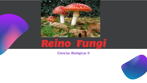 Reino Fungi