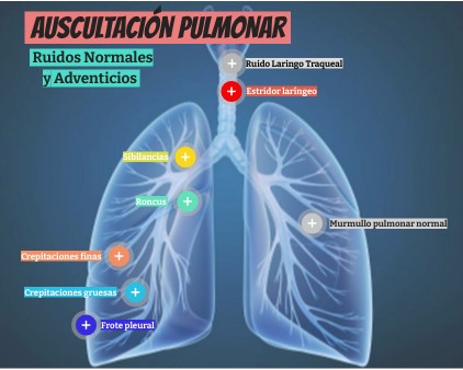 AUSCULTACIÓN PULMONAR | Genially