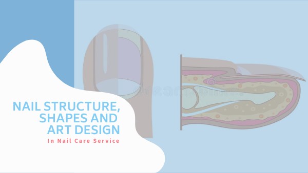 Nail Structure, Shape and Design