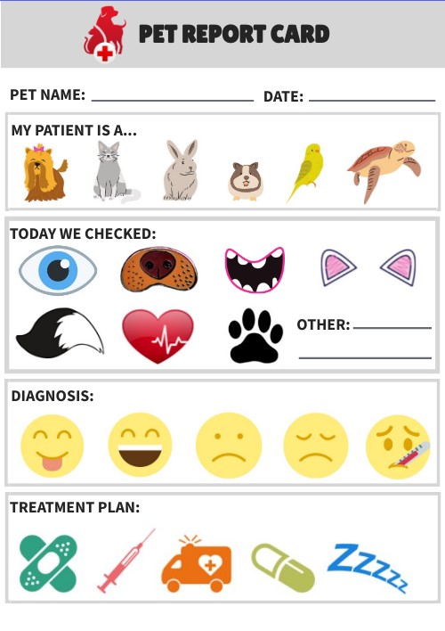 PET REPORT CARD