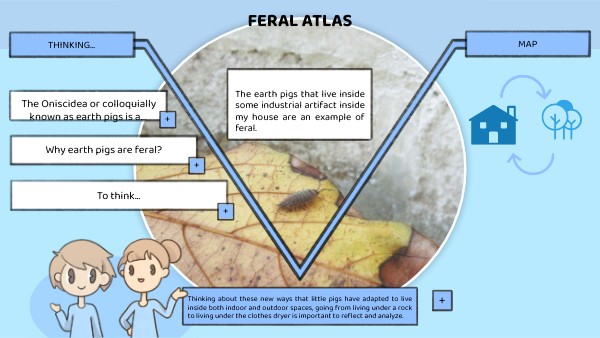Feral Atlas_Emily Díaz
