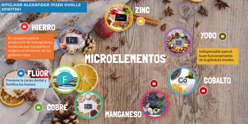 MACROELEMENTOS | Genially