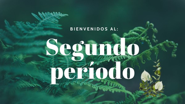 El ser humano es responsable de la vida propia y de los demás | Genially
