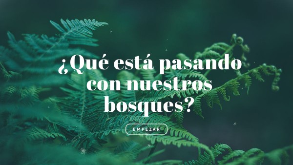 Desmonte de bosques | Genially