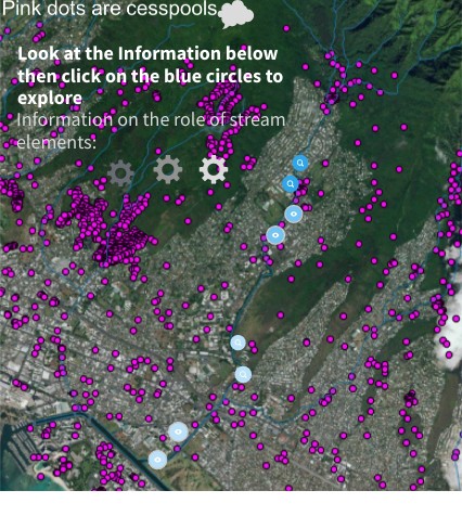 Manoa Stream