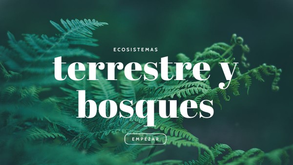 Ecosistema terrestre y bosques | Genially