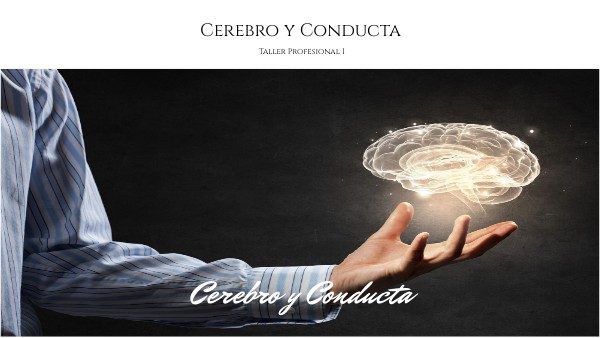 Cerebro y conducta Humana | Genially