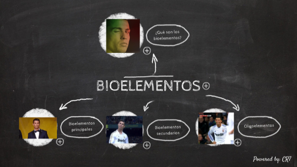 Bioelementos