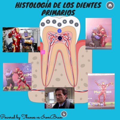 Histología de Dientes Primarios | Genially