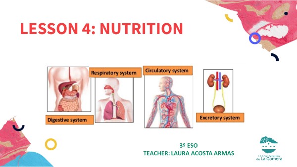 NUTRITION1_DIGESTIVE AND RESPIRATORY