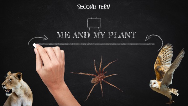 Term 2 - Cycle 1 | Genially