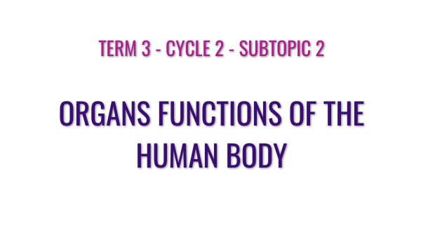 Main Organs | Genially