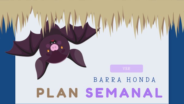 Plan Semanal Barra Honda 2023