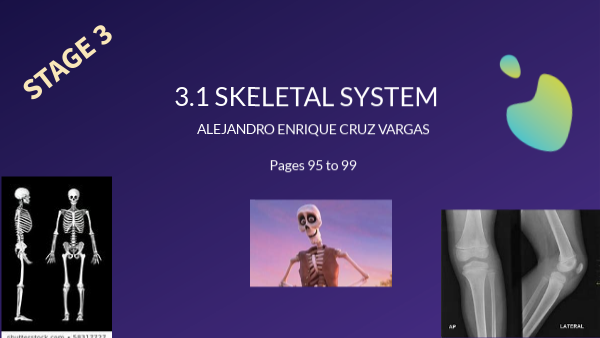 SKELETAL SYSTEM | Genially