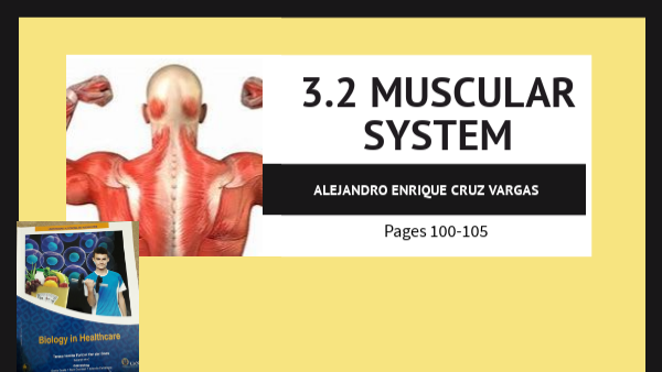 MUSCULAR SYSTEM | Genially