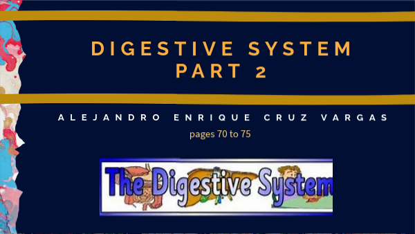 DIGESTIVE SYSTEM PART 2 | Genially