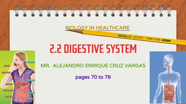 2024 DIGESTIVE SYSTEM PART 1 | Genially