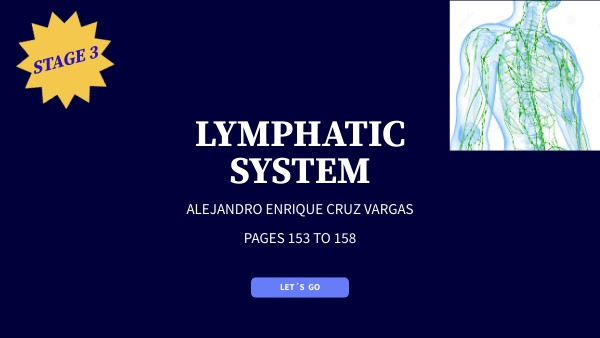 2024 LYMPHATIC SYSTEM