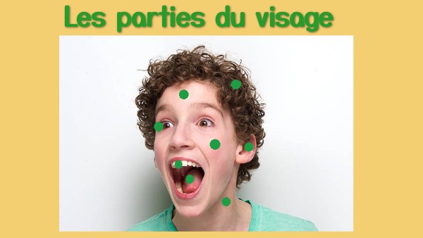 Les parties du visage | Genially