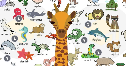 Types of animals | Genially