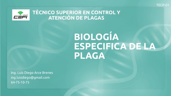 PRESENTACIÓN MEDICINA ADN